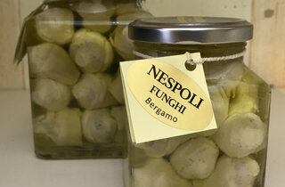 home - Nespoli funghi negozio specializzato in funghi porcini freschi e ...