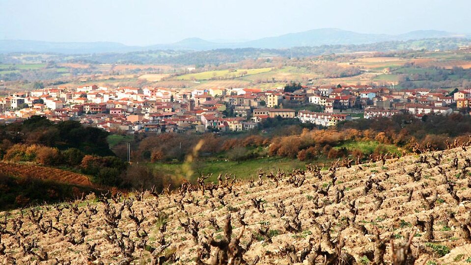 Holiday Mandrolisai DOC - Holiday Mandrolisai DOC - Atzara, Mandrolisai ...