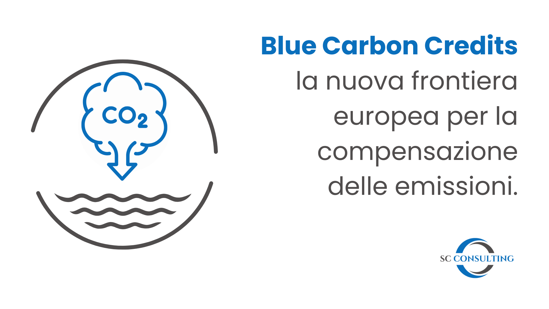 Carbon Credit: cosa sono, come funzionano e perché sono fondamentali ...
