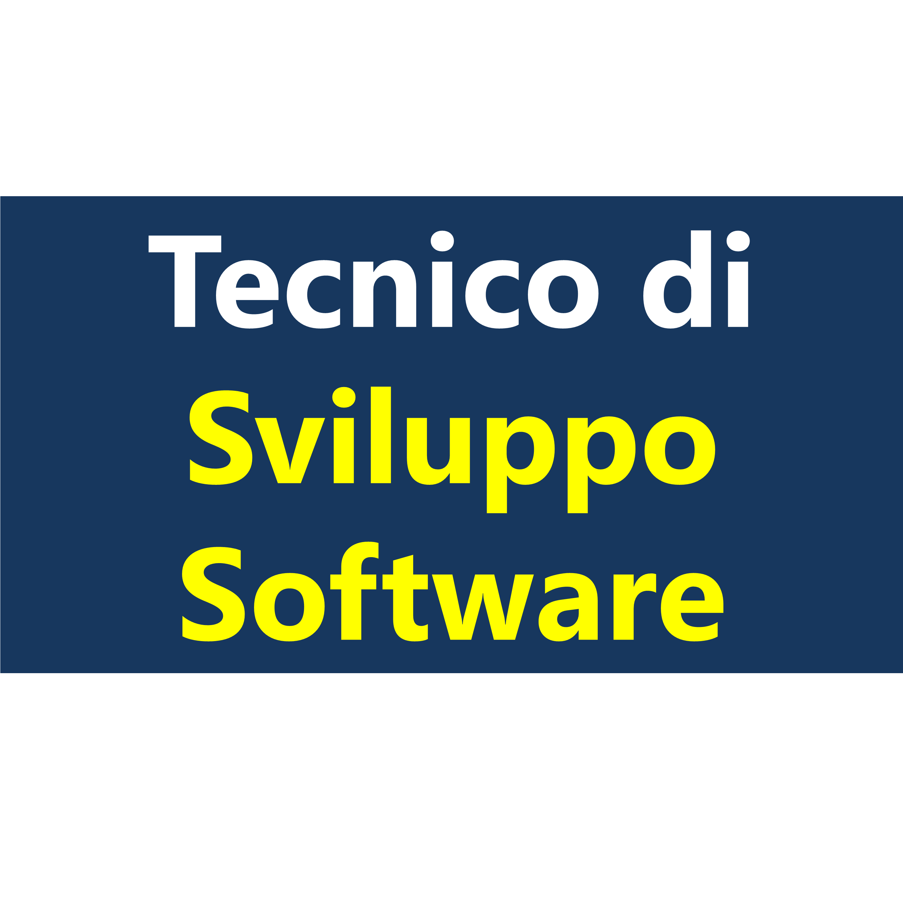 Tecnico di Sviluppo Software